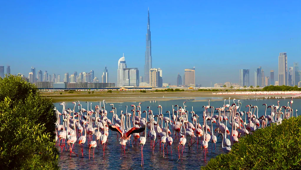 9 Best Museums in Abu Dhabi You Must Visit in 2025